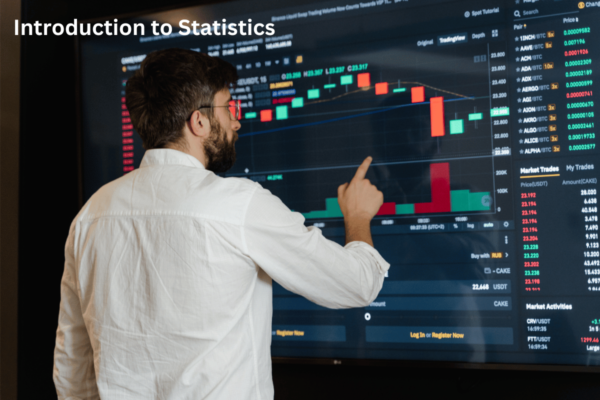 Introduction to Statistics: Discover the Basics